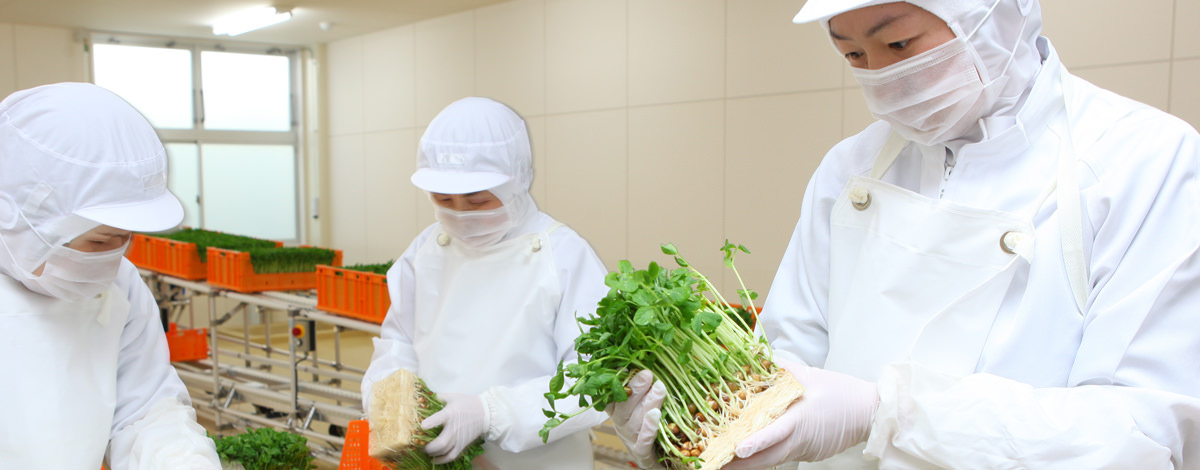 村上農園ホームページ